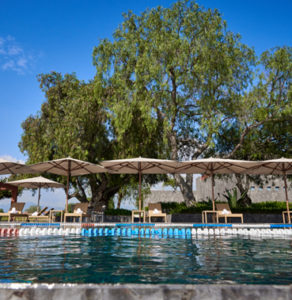 Club - Amanali